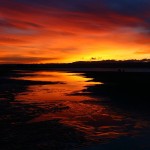 The Nelson Area, easily accessed from Parautane Lodge B&B